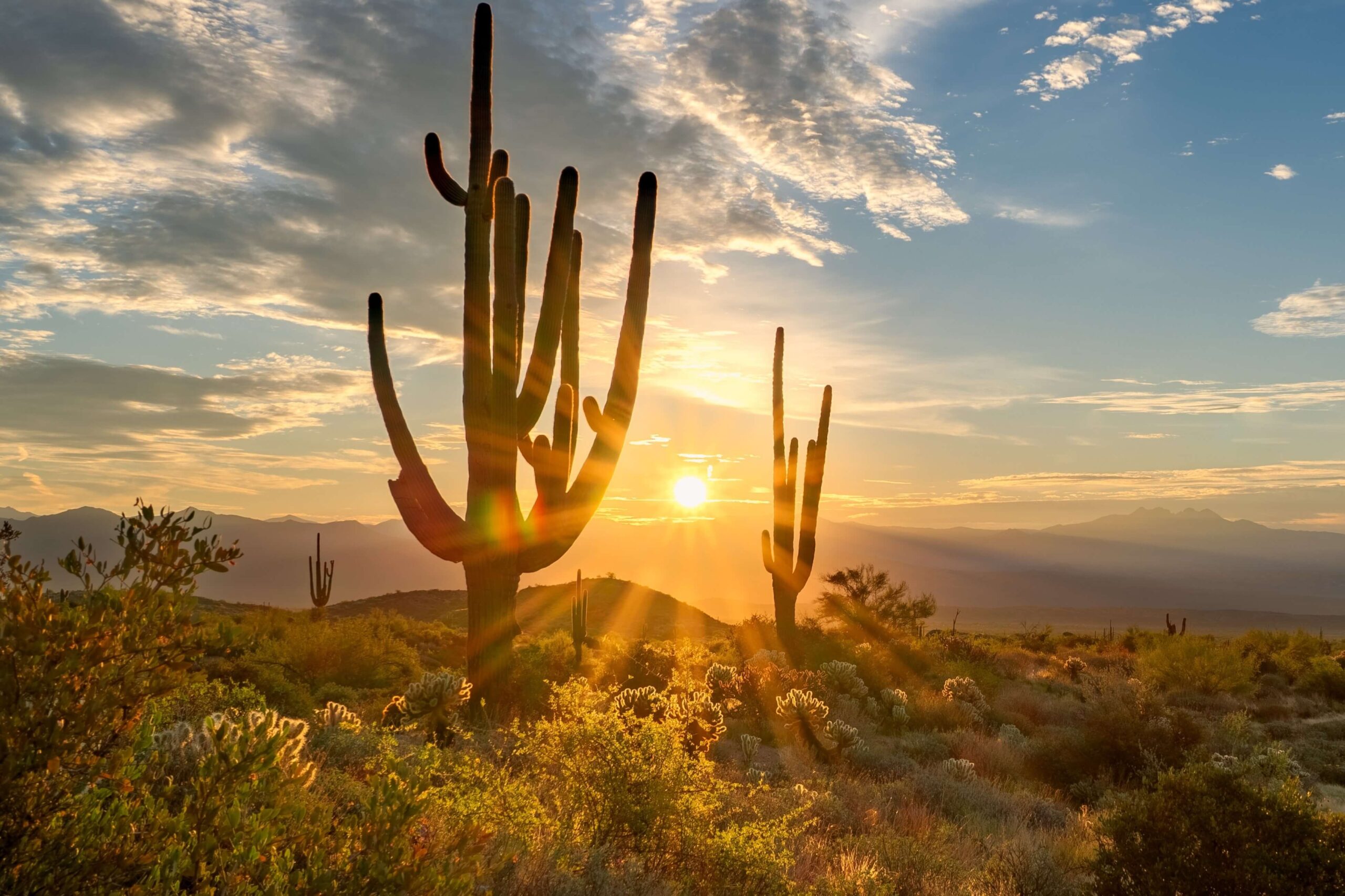 Best Nature Parks And Landmarks Near Phoenix, Arizona - Five Star Property